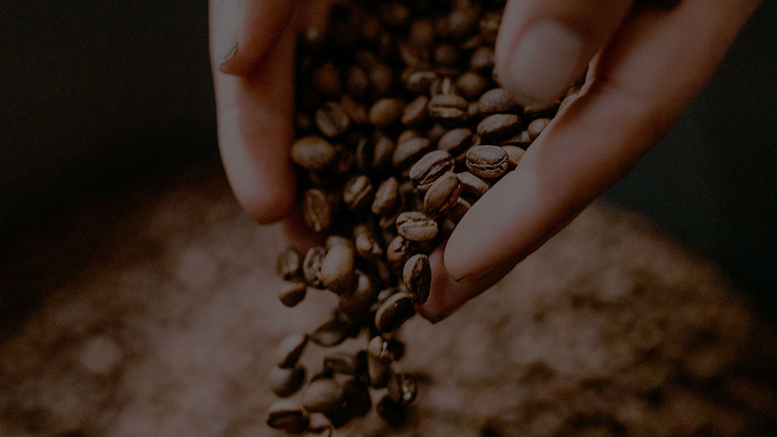 Roasted Coffee – Bear Coast Coffee